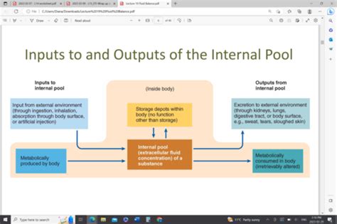 Lecture Fluid Balance Flashcards Quizlet