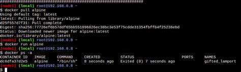 how to install a package on alpine linux docker geeksforgeeks