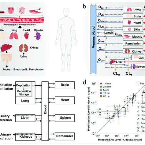 Computational Case For Predicting Nanotoxicity Download Scientific Diagram