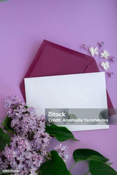 보라색 배경에 빈 보라색 봉투와 아름다운 봄 라일락 꽃이 있는 구성 모형 카드 초대장 인사말 카드 엽서 복사 공간 템플릿입니다 라일락 피는 꽃다발의 가지입니다 0명에 대한