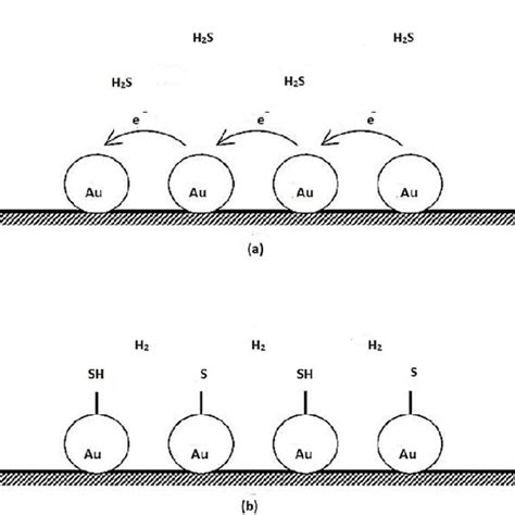 Pdf Nanosensors For Chemical And Biological And Medical Applications