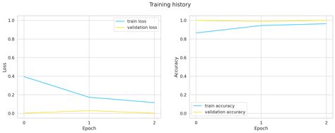 Transfer Learning For Image Classification Using Torchvision Pytorch