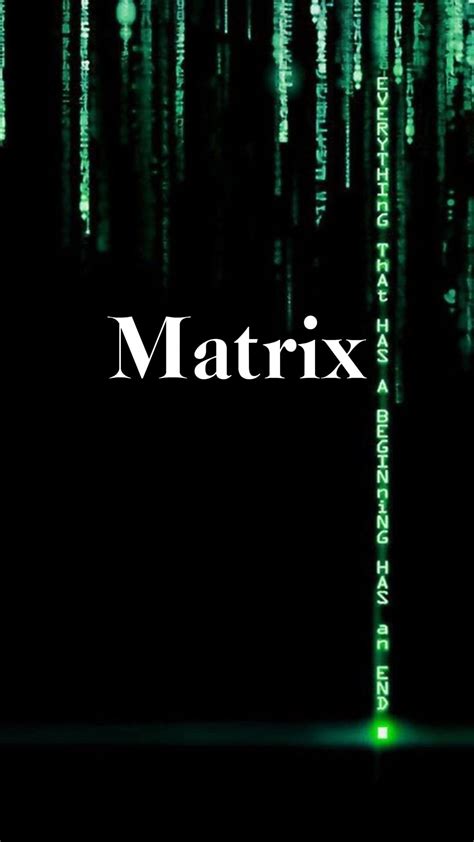 리디큘러스 성공을 향해 나아가는 과정 ⠀ 너를 멈추게 할 수도 있고 너를 강하게 만들 수도 있다 고통은 성장의 대가이며 변화를 위한 기회다 피하지 말고 맞서라