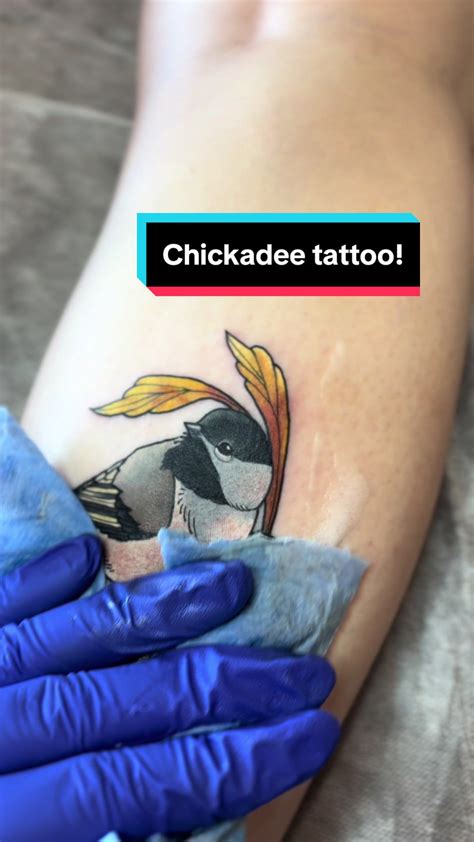 Chickadee Tattoo Meaning
