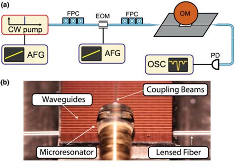 a schematic of the setup used in the experiments cw continuous wave
