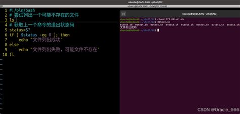 《linux Shell 编程基础精要：语法规则、变量解析与注释技巧》linux Shell 注释 Csdn博客