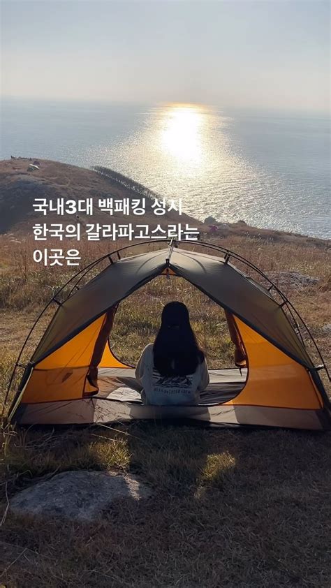 갱이 스노우보드 등산 캠핑 운동 안녕하세요 겨울의 시작과 함께 인별 다시 시작합니다 🙂 첫 피드는 2425 휘닉스 앰배서더로 활동한다는 소식입니다 11 22