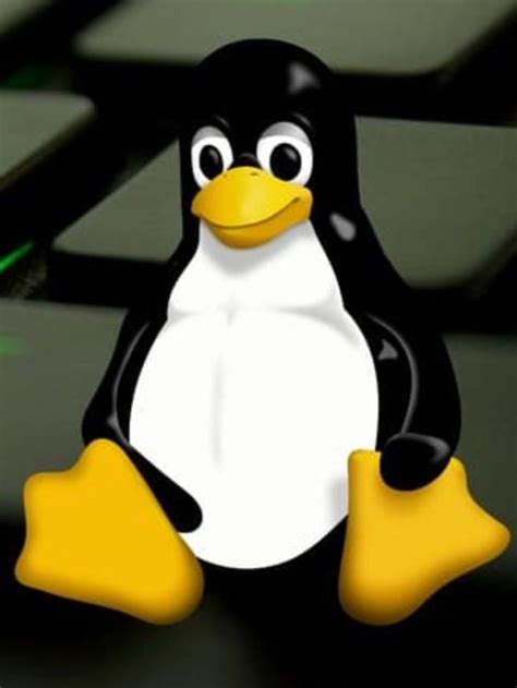 What Is A Linux Shell Learn Why It Is Important Hostingseekers