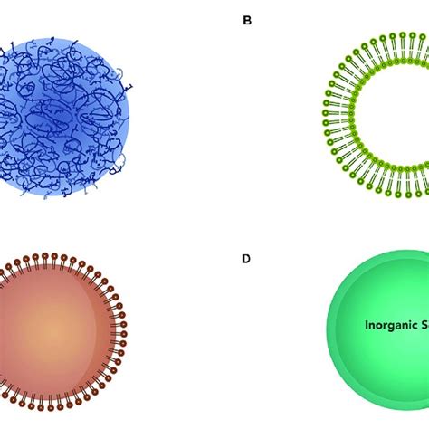 Schematic Representation Of Different Types Of Nanoparticles A Download Scientific Diagram