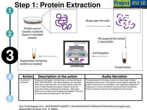 Ppt Bioinformatics And Protein Database Concepts Powerpoint