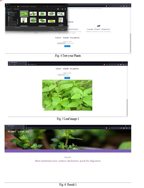 the analysis of plants recognition based on deep learning and