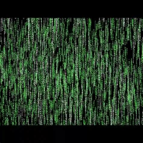 The Difference Between Coding And Programming Youtube