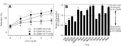 Figure 1 From Gamma Causes Cerebral Vascular Dysfunction In Response To