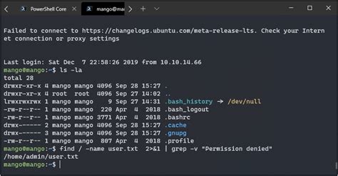 Hack The Box Mango Forest Hex — An Exploration Of Hacking And Programming
