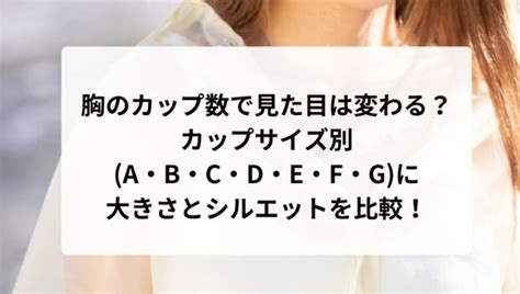 胸のカップ数で見た目は変わる？カップサイズ別a・b・c・d・e・f・gに大きさとシルエットを比較！ 宮ちゃんのナイトブラ