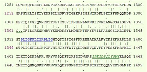 Scientific Illustration