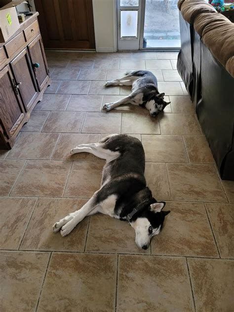 Ctrl C Ctrl V Scrolller