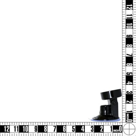 Fleshlight Shower Mount Sex Toys At Adult Empire