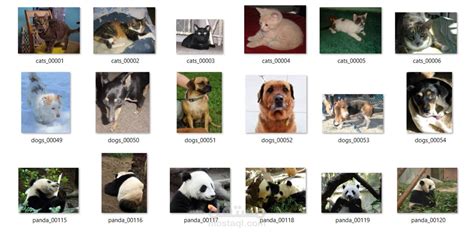 Knn Classification مستقل