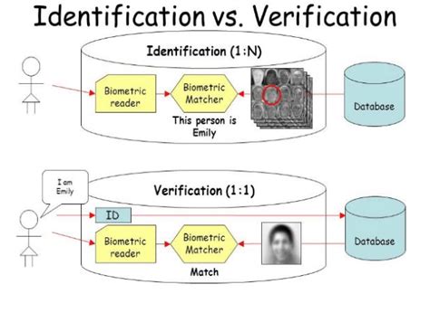 Identification Vs Verification Download Scientific