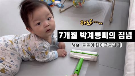 관심사 돌돌이 를 잡기 위한 7개월 박계룡씨의 집념 작은 빡침 youtube