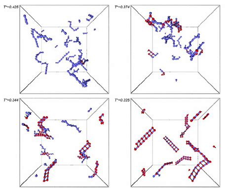 Sample Snapshots Of Equilibrium Configurations Distributed Across The