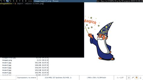 Примеры использования команды import в Linux Рецепты Linux