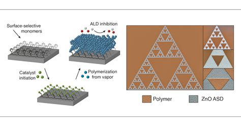 Surface Initiated Polymer Thin Films For The Area Selective Deposition