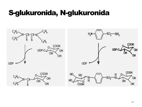 2hubungan Struktur Kimia Dengan Proses Mepptx
