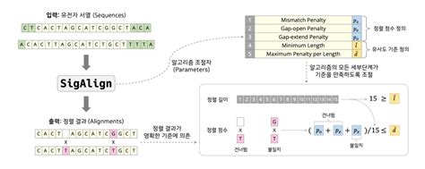 서울대 연구팀 혁신적 유전체 분석 알고리즘 개발 Kollo