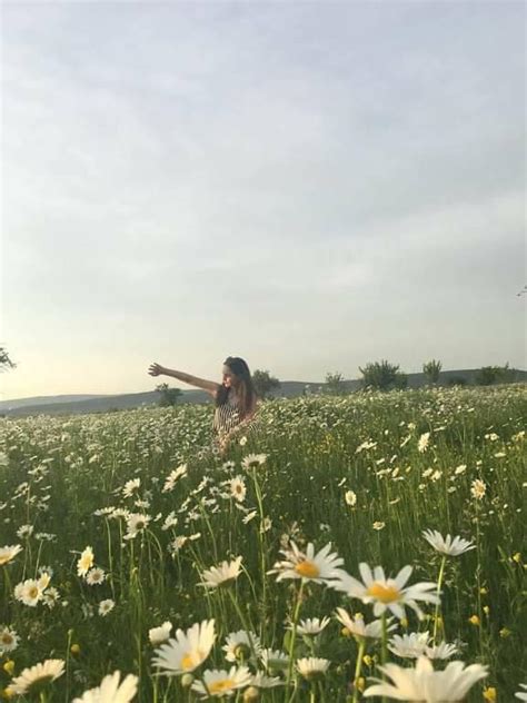 ყვავილების სახლი ყვავილების სახლი სამეგრელოში