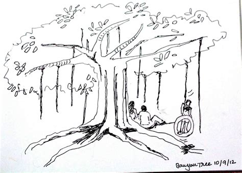 Coloring Page Of Bald Cypress Tree Louisiana Coloring Pages