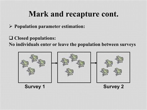 population counting method line transect point count mark and recapture