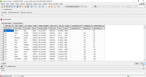 How Toad Import Excel File How To Sop