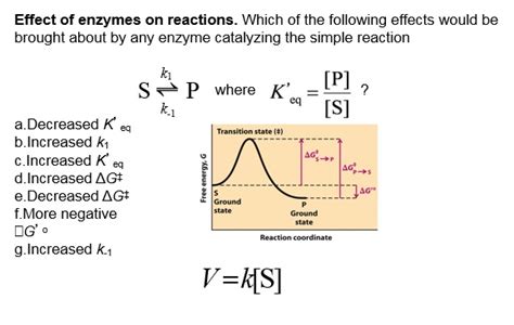 Solved Effect Of Enzymes On Reactions Which Of The