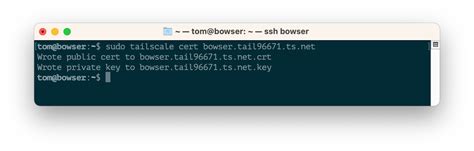 Tailscale For Developers
