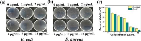 Bacteria Viability Of Ae Coli And Bs Aureus After Treatment With Download Scientific Diagram