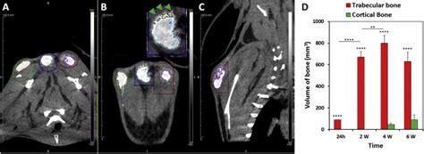 Dynact Scan Of Mhacoll Seeded Subcutaneously In Rabbit At 4 Weeks