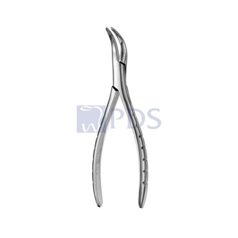 Root Forceps Serrated Prime Dental Supply