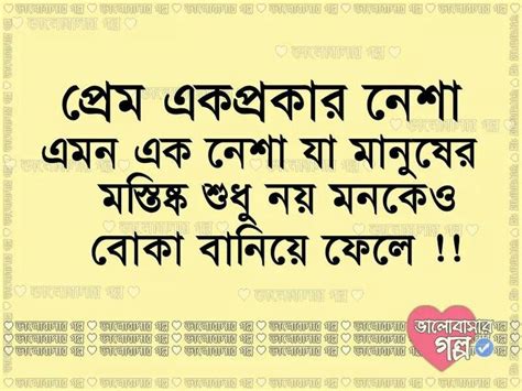 Bilingual Word Search Puzzle