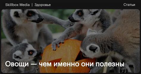 12 самых полезных овощей — мнение врача диетолога Skillbox Media