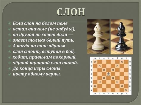 Открытое занятие по шахматам Путешествие в шахматных мир презентация онлайн