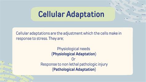 Cellular Adaptation & Cell Injury - Pathology | PDF | Biological Sciences | Science
