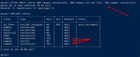 Mysql Comandos Básicos Desde Terminal Diario Del Programador