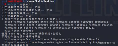 关于kali下载完成后优化设置（详细，有图） kali软件包设置选哪个 csdn博客