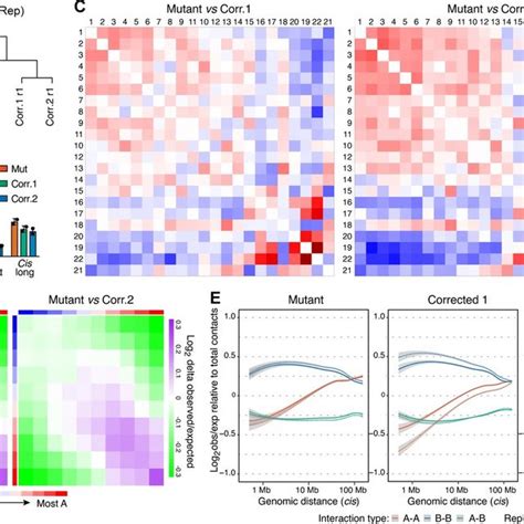 Chromatin Compartment Transitions In Lamin Ac Haploinsufficient
