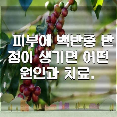 피부에 백반증 반점이 생기면 어떤 원인과 치료