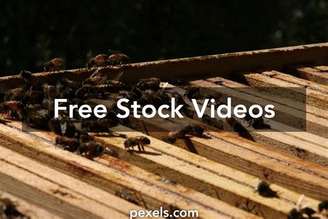 Api Bergerak Videos Download The Best Free 4k Stock Video Footage And Api Bergerak Hd Video Clips