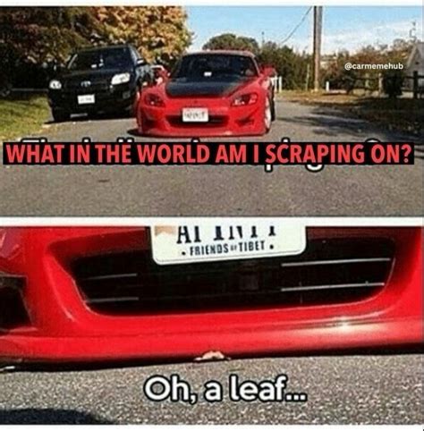 The Best Leaf Memes Memedroid