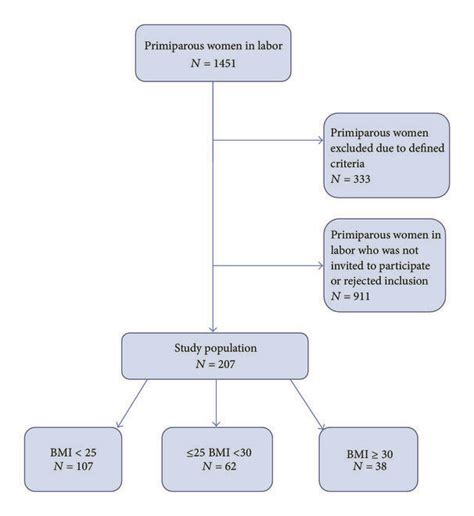 Flowchart Of The Study Population Download Scientific Diagram